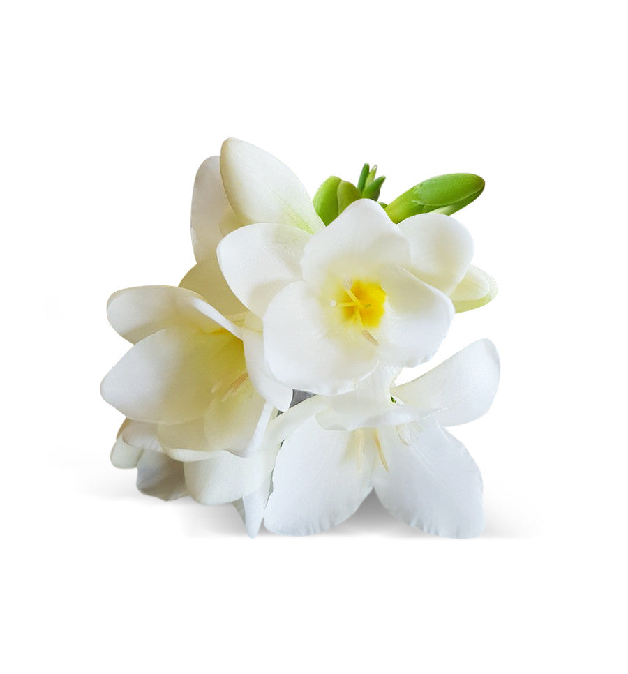 Freesia Blooms Fragrance Spring Flowers. Make Soy Candles SHOP