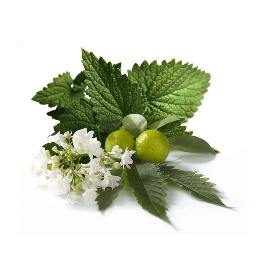 Natural Patchouli Fragrance Oil - NZ Candle Supplies